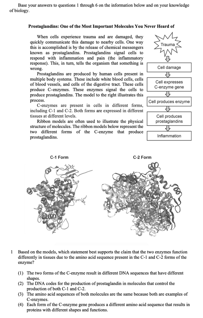 Prostaglandins Sample Cluster | NY Science Standards Wiki