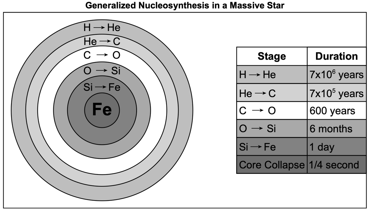 Generalized Nucleosynthesis in a Massive Star | NY Science Standards Wiki