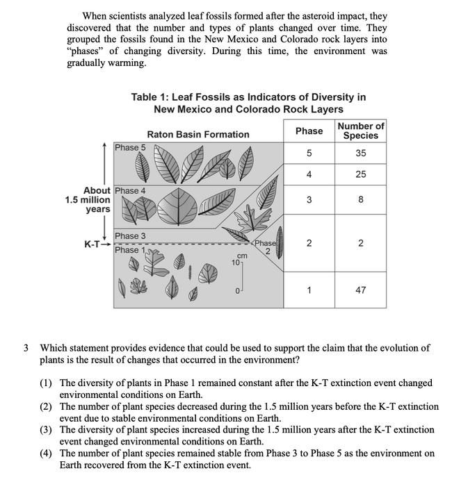Dinosaurs-Evolution Sample Cluster | NY Science Standards Wiki